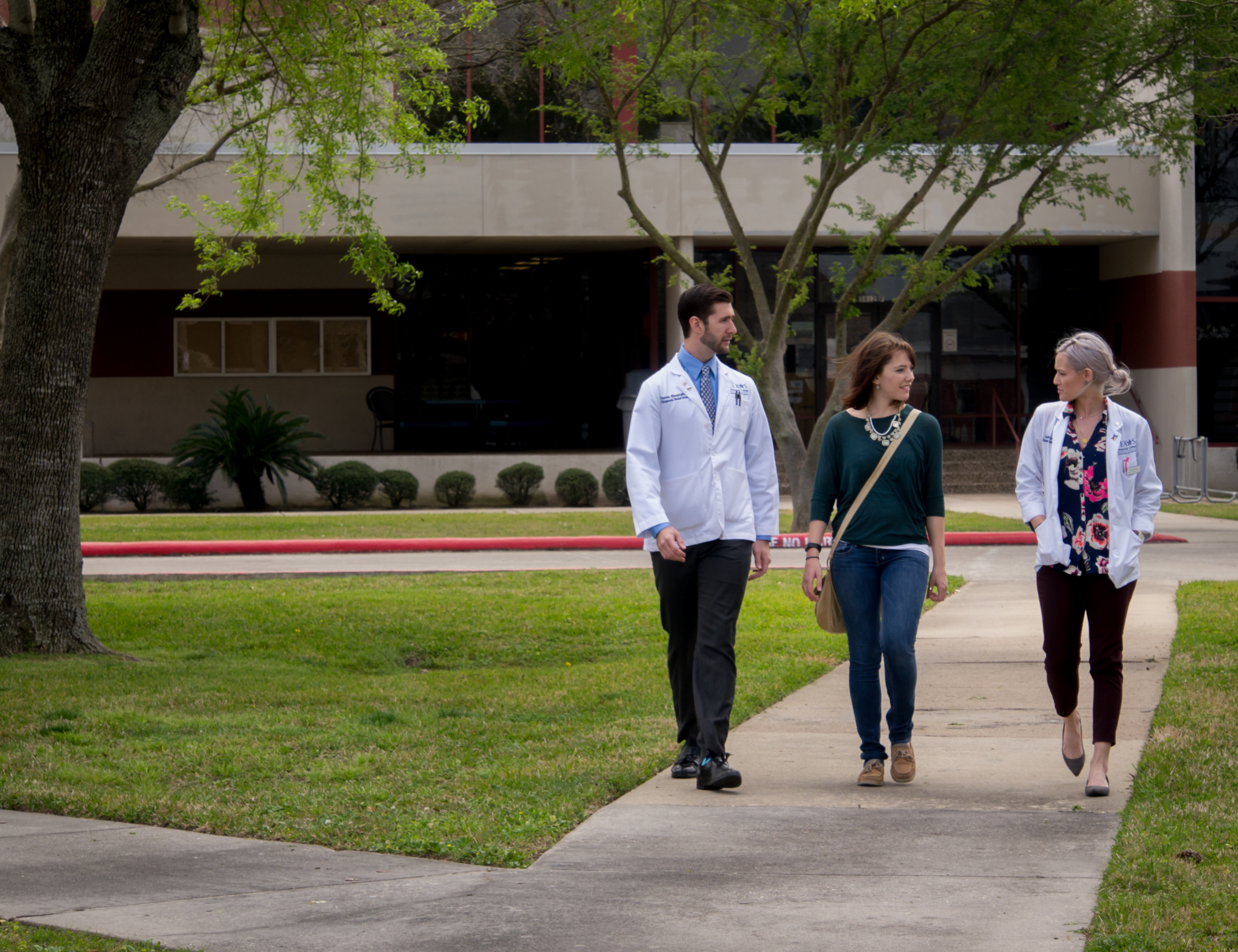 Visit Texas Chiropractic College - Texas Colleges and Schools
